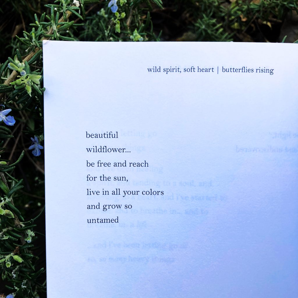 beautiful wildflower, grow untamed collection - butterflies rising